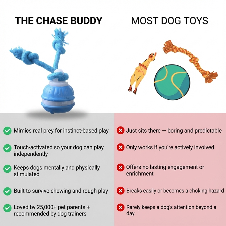 Interactive Dog Toy - Automatic Moving Toy with Touch Activation & 3 ...